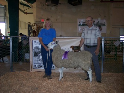 Ch.+Ram+and+Judge+Wes+Limesand – Bluefaced Leicester Union